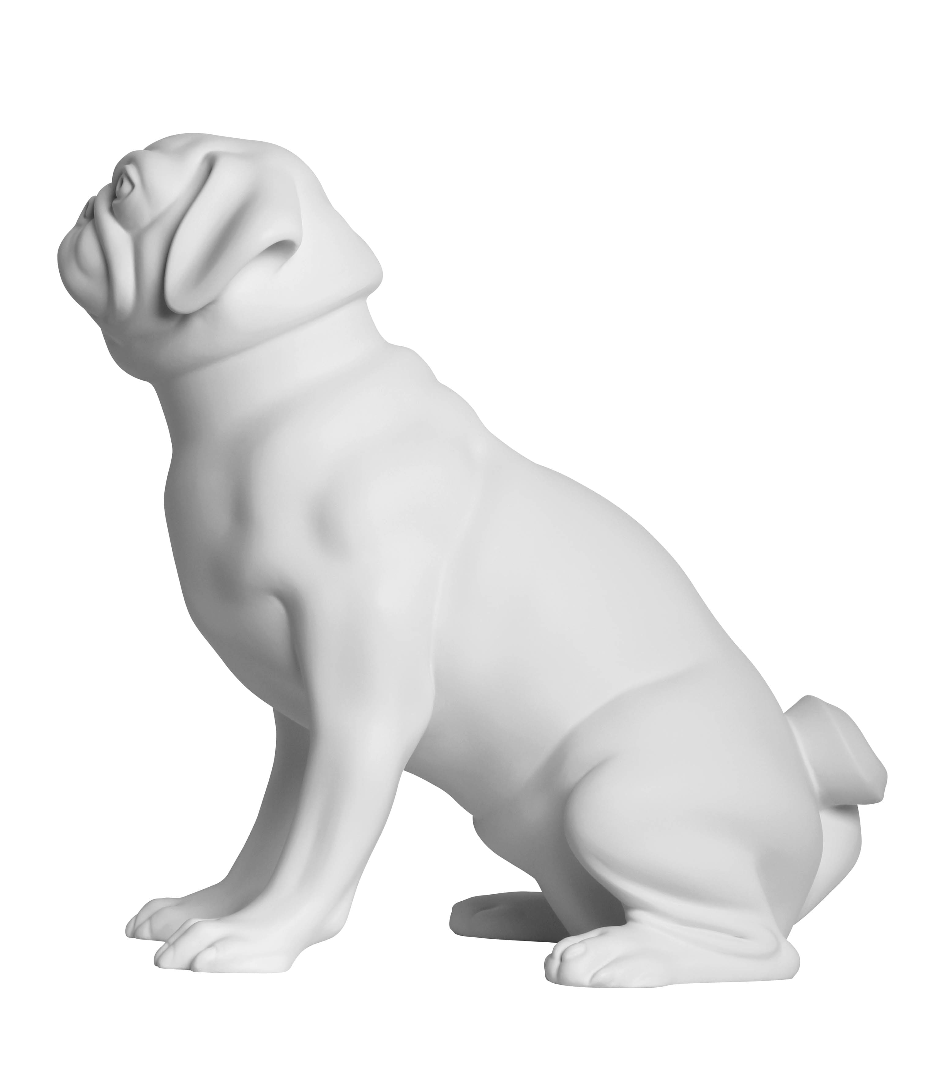 Wallace - White - Dog Sitting Position